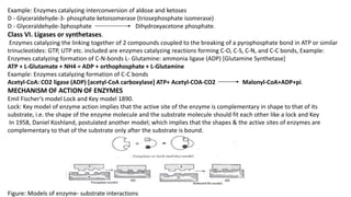 enzymes and it's clinical applications.pptx