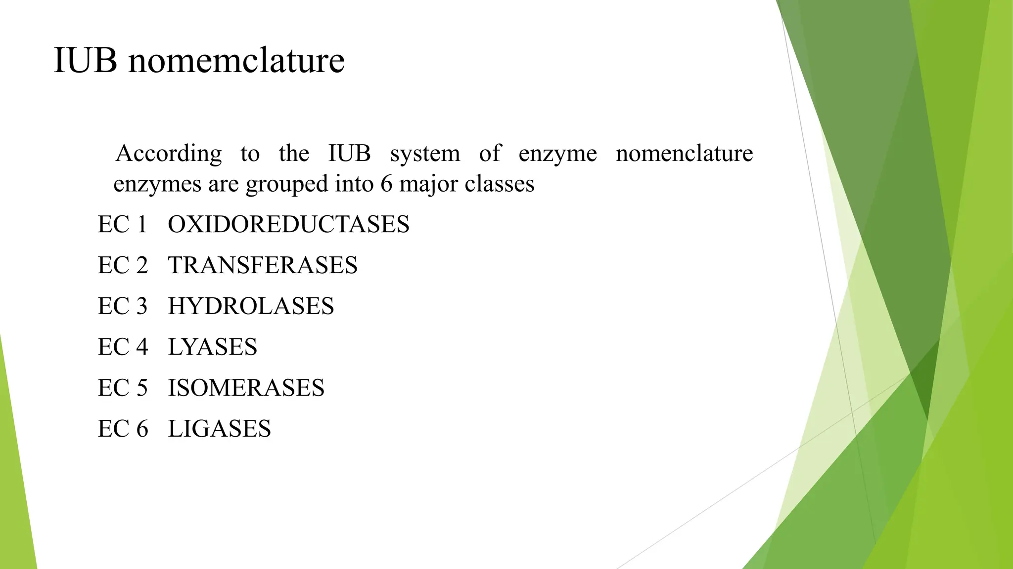 all about Enzymes 1234567891011121314.ppt