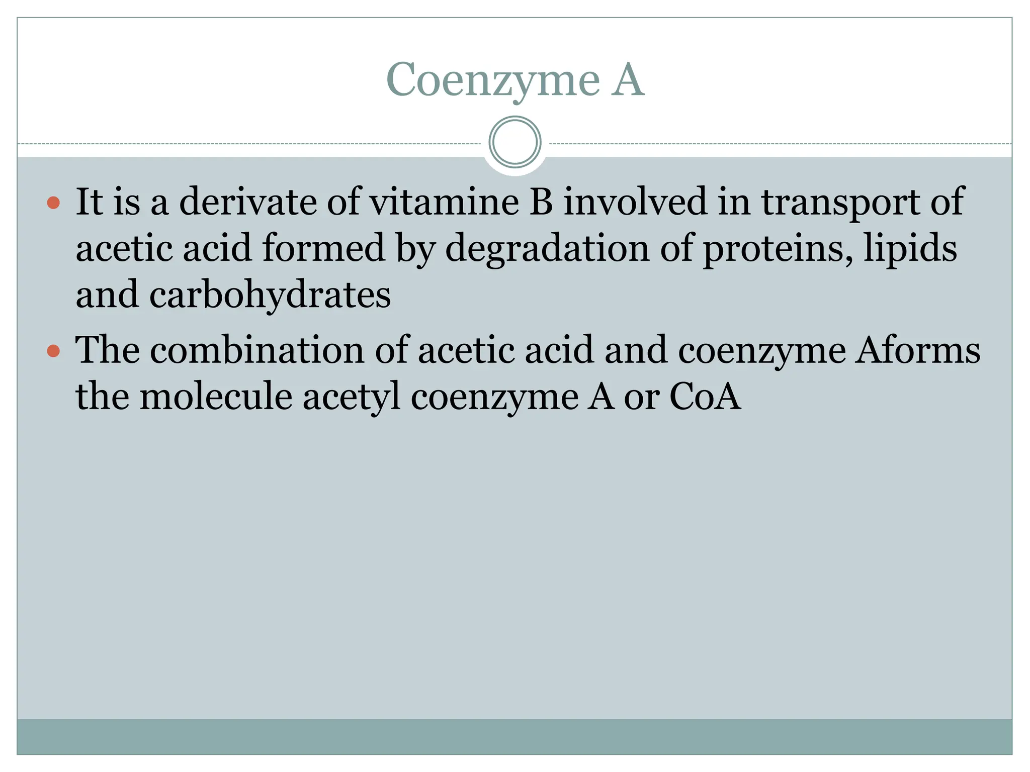 Enzymes structure and function struc.pptx