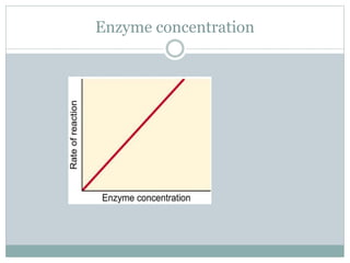 Enzymes structure and function struc.pptx