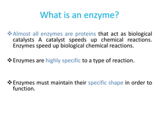 enzymes.ppt, science science science enzymes enzymes | PPT
