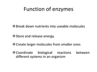 enzymes.ppt, science science science enzymes enzymes | PPT