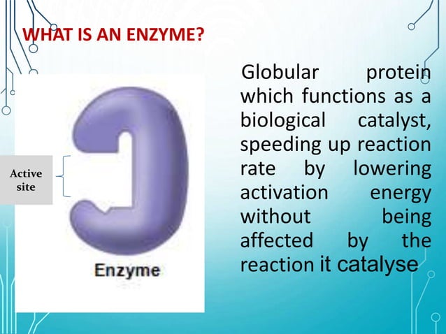 INTRODUCTION TO ENZYMES - presented by Patil J.N | PPTX