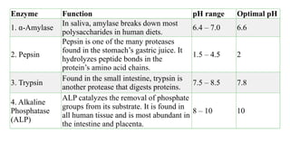 role of enzymes in food, their uses and applications | PPTX | Chemistry ...