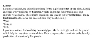 role of enzymes in food, their uses and applications | PPTX | Chemistry ...