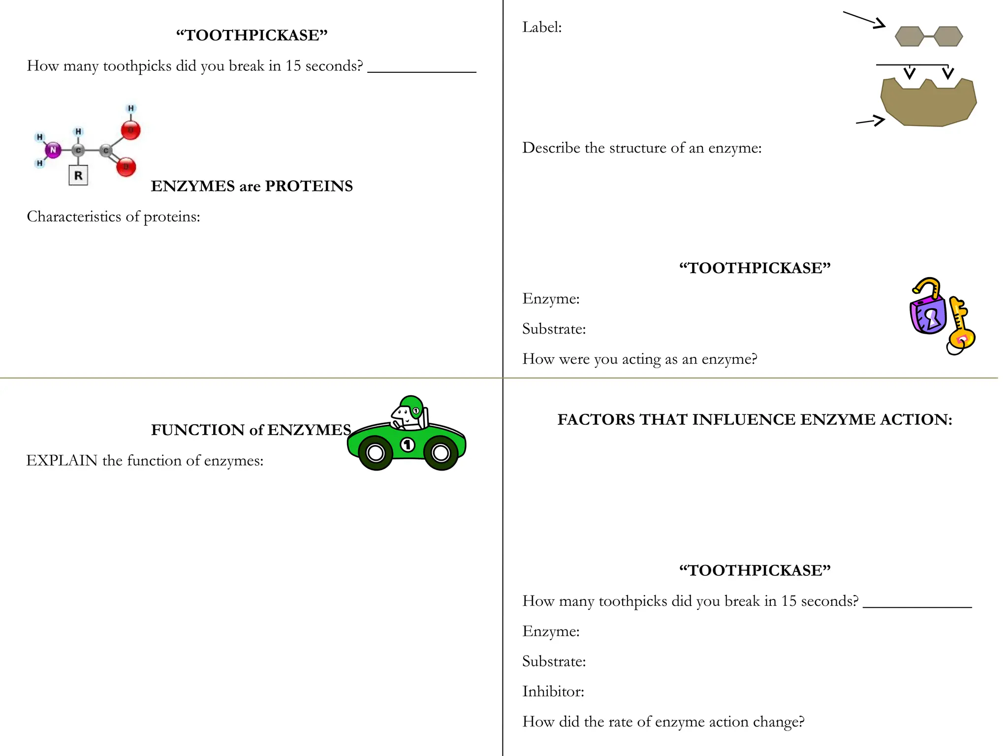 Enzymes and its structure on how it happen.ppt | Free Download