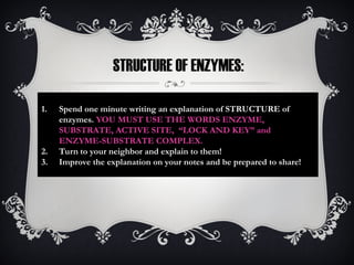 Enzymes and its structure on how it happen.ppt | Free Download