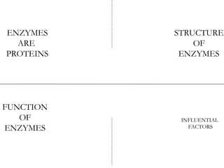 Enzymes and its structure on how it happen.ppt | Free Download