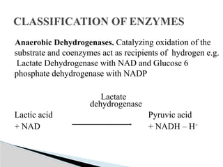 enzymes.-functions, sources .importance -characters. | PPT