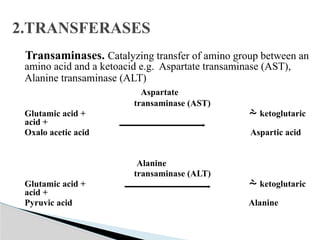 enzymes.-functions, sources .importance -characters. | PPT