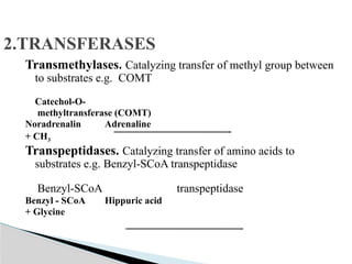 enzymes.-functions, sources .importance -characters. | PPT