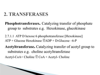 enzymes.-functions, sources .importance -characters. | PPT