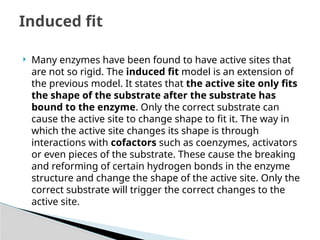 enzymes.-functions, sources .importance -characters. | PPT