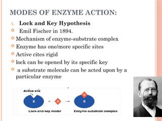 ENZYMES STRUCTURE,TYPES,REGULATION AND INHIBITION | PPTX