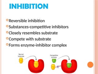 ENZYMES STRUCTURE,TYPES,REGULATION AND INHIBITION | PPT