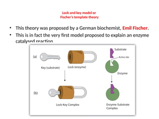 ntroduction, properties, nomenclature and IUB classification of enzymes ...
