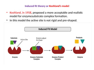 ntroduction, properties, nomenclature and IUB classification of enzymes ...