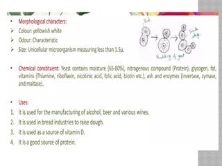 ENZYMES- Identification Test, Uses, Drugs of Enzymes | PPTX