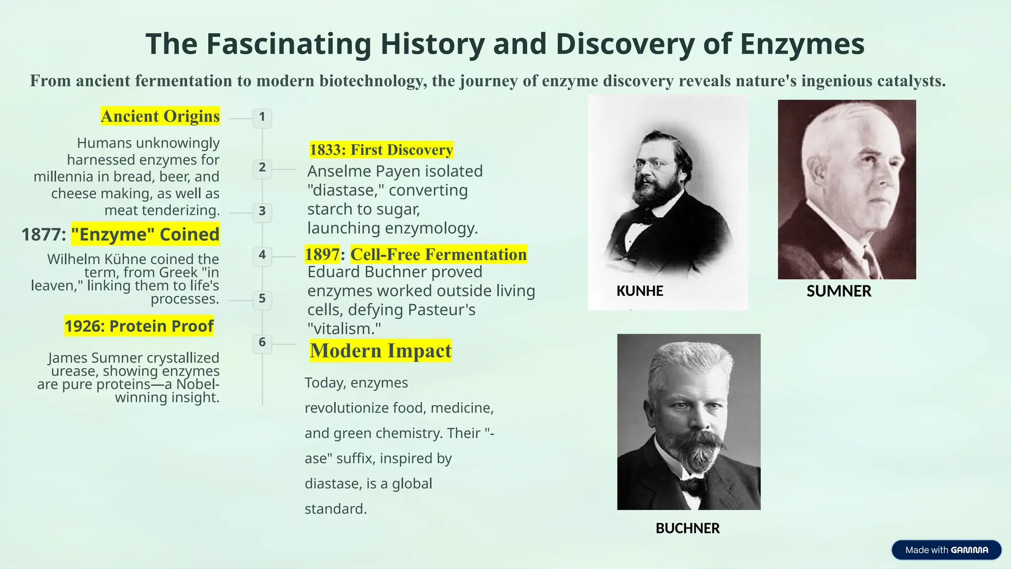 ENZYMES props, classification, theories , cofactor, factors affecting ...