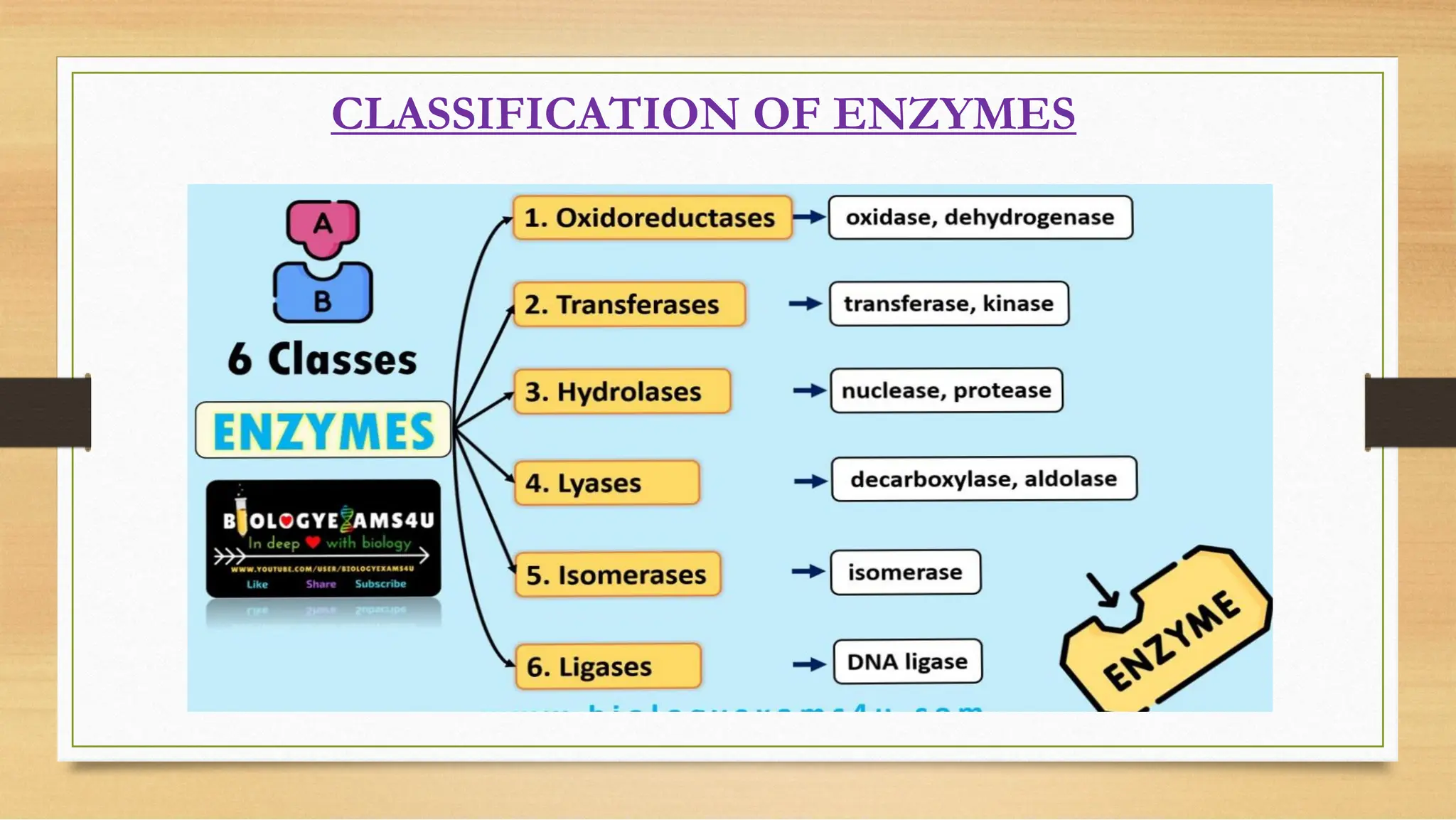 Enzyme_Classification of enzymes,Mechanism of enzyme actions,Factors ...