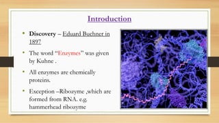 Enzyme_Classification of enzymes,Mechanism of enzyme actions,Factors ...