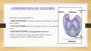 Enzyme_Classification of enzymes,Mechanism of enzyme actions,Factors ...
