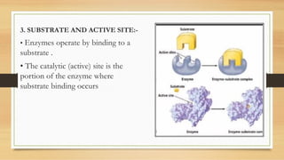 Enzyme_Classification of enzymes,Mechanism of enzyme actions,Factors ...