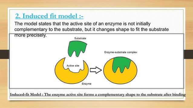 Enzyme_Classification of enzymes,Mechanism of enzyme actions,Factors affecting enzyme action | PDF