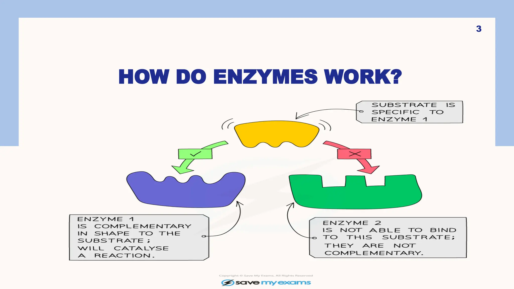 Structure, mechanism of Enzymes and types of enzyme inhibition.pptx