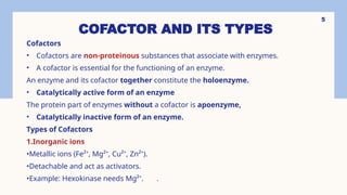 Structure, mechanism of Enzymes and types of enzyme inhibition.pptx