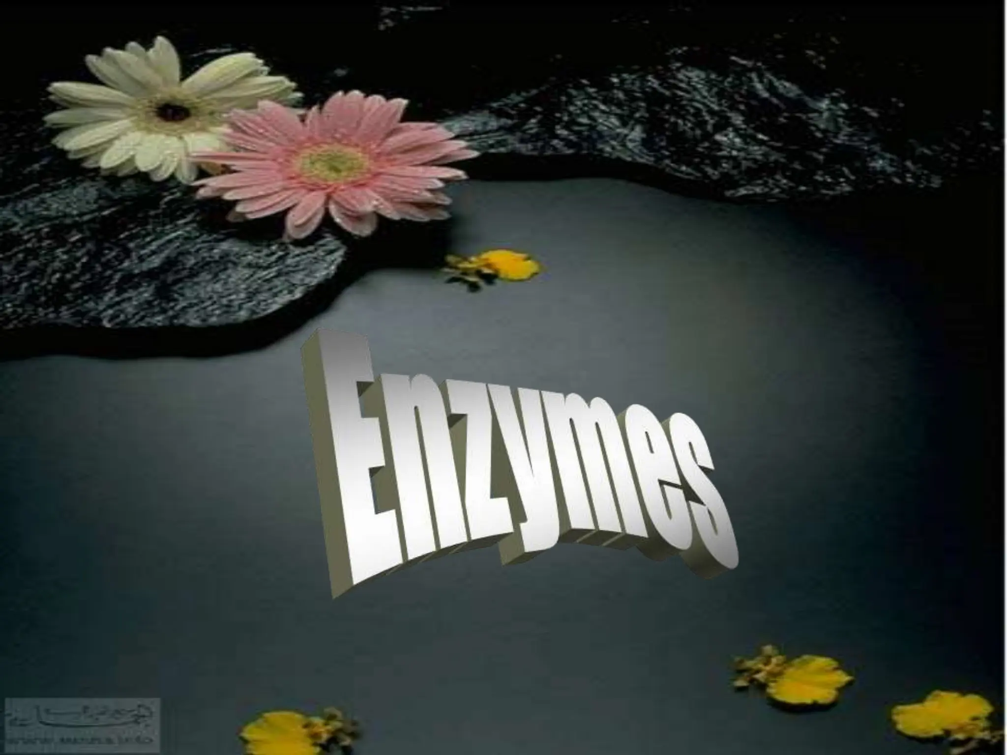 Enzymes-3rd-week.ppt enzymology, molecular biology | PPT