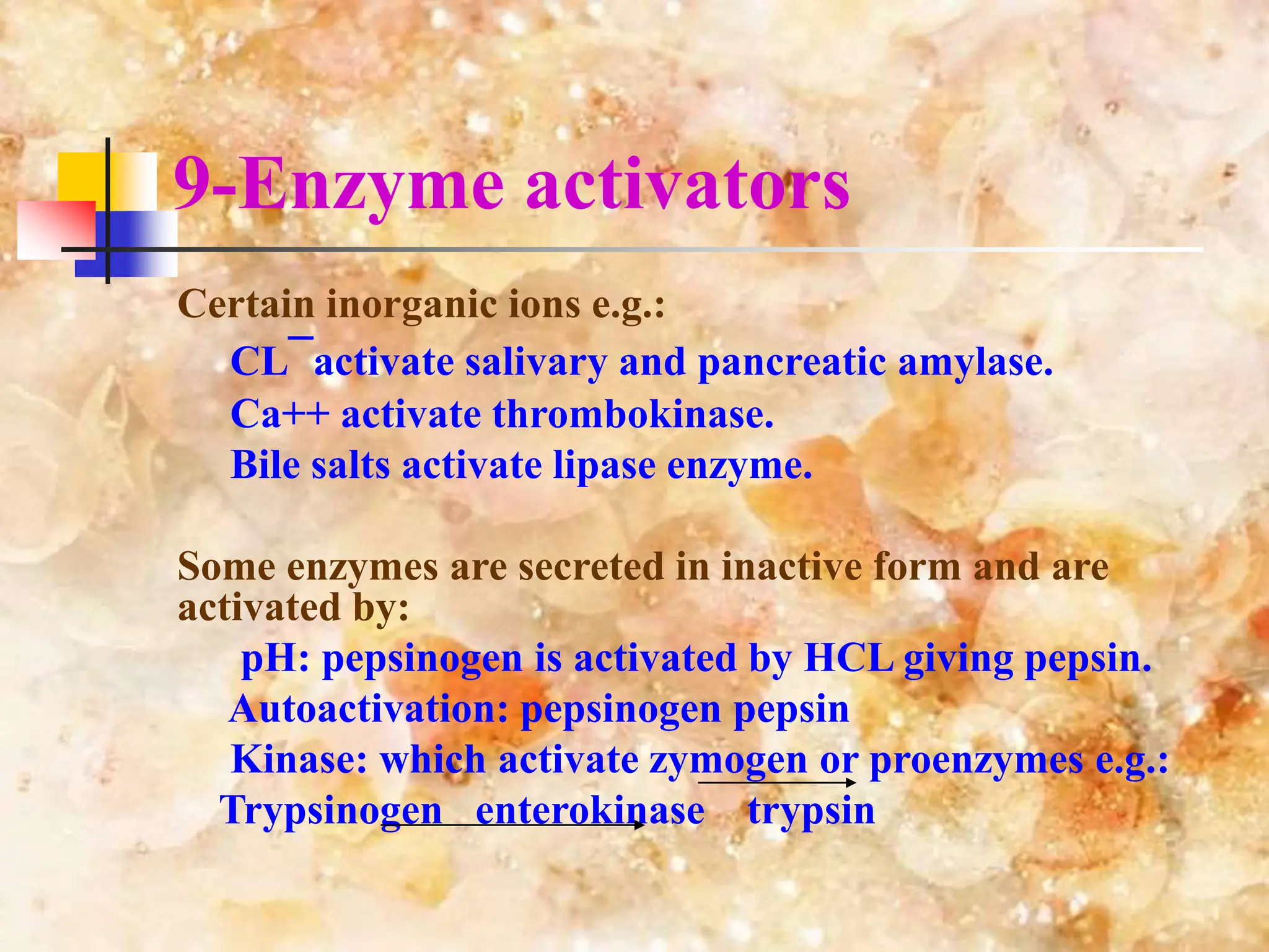 Enzymes-3rd-week.ppt enzymology, molecular biology | PPT