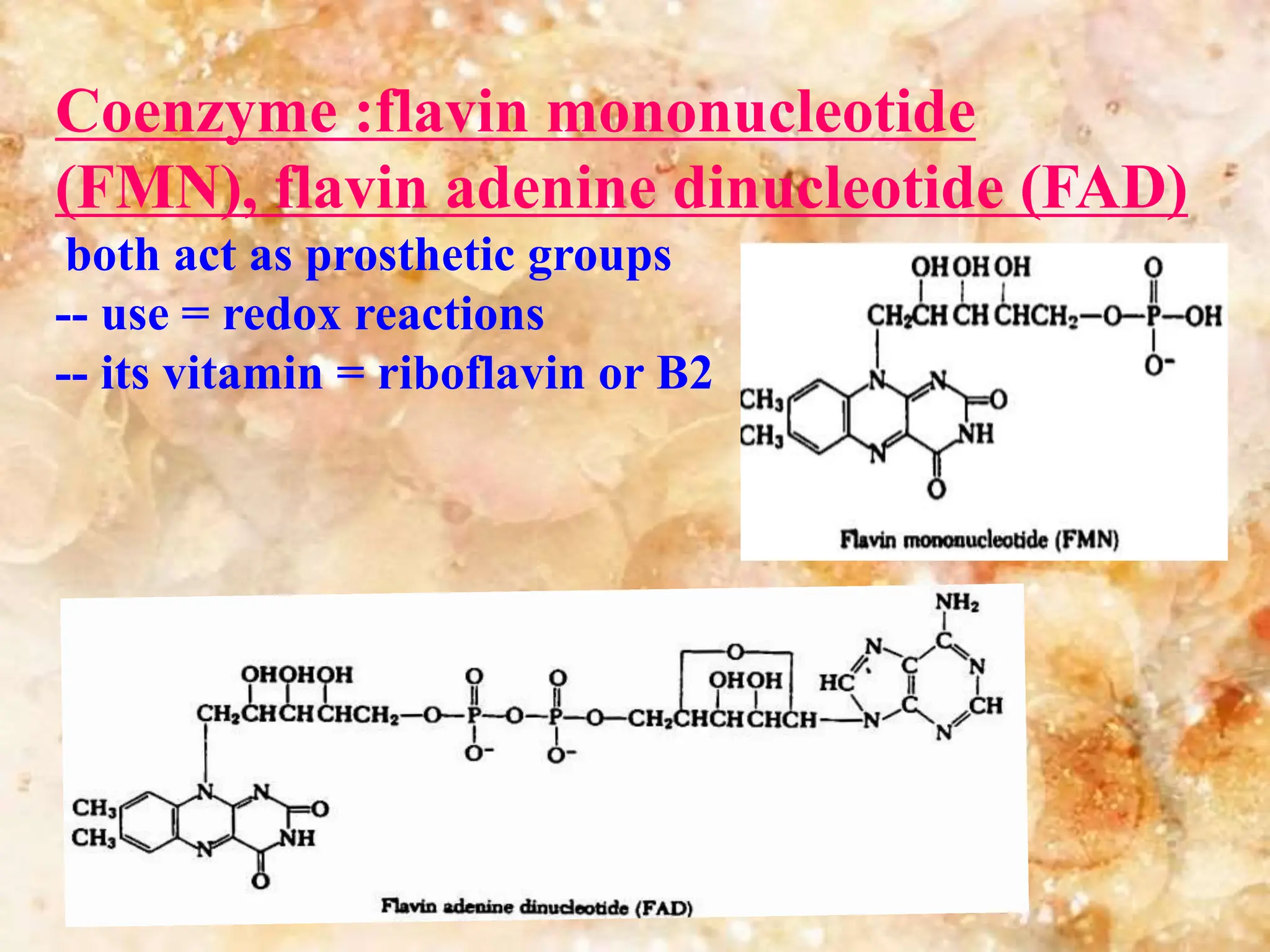 Enzymes-3rd-week.ppt enzymology, molecular biology | PPT