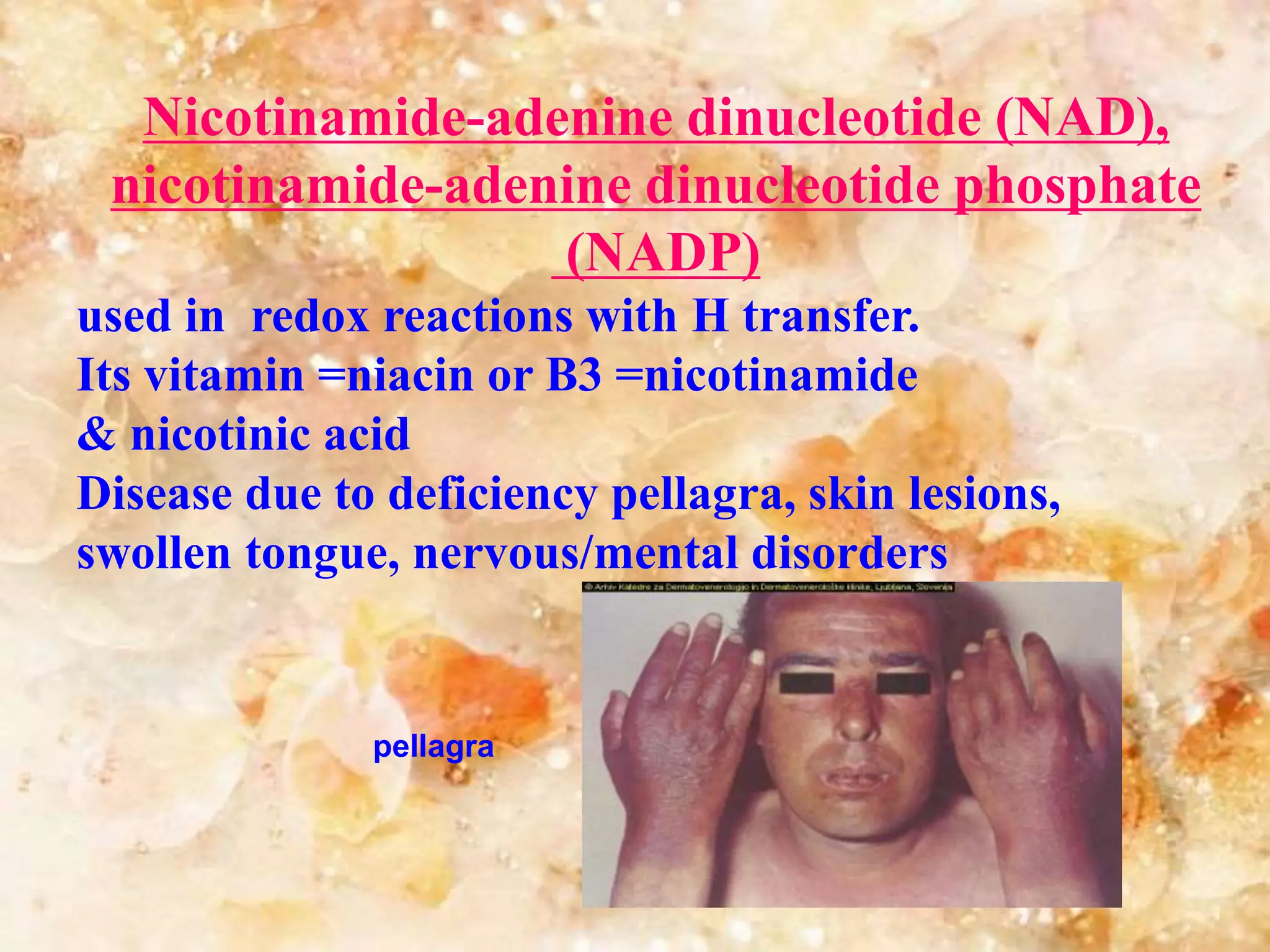 Enzymes-3rd-week.ppt enzymology, molecular biology | PPT