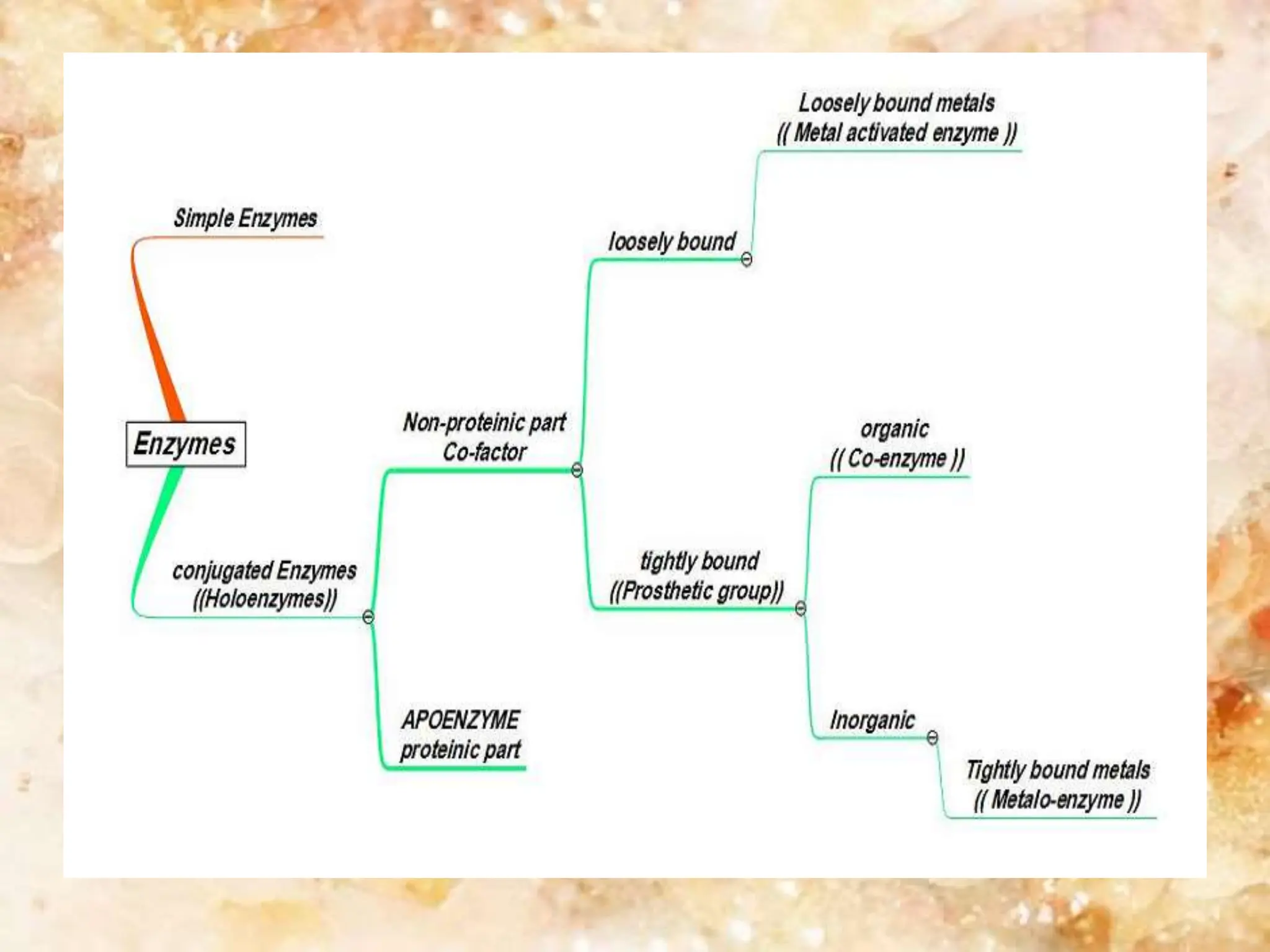 Enzymes-3rd-week.ppt enzymology, molecular biology | PPT