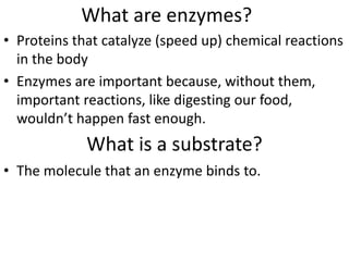 Enzymes and body organization | PPTX