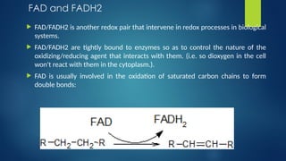 Biomolecules in the Biochemistry of Enzymes | PPTX