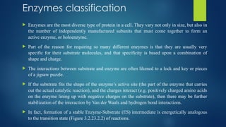 Biomolecules in the Biochemistry of Enzymes | PPTX