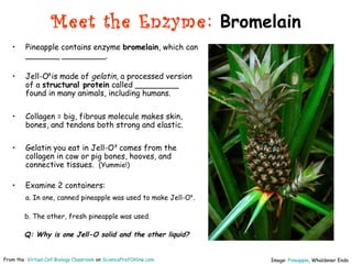 Enzymes cell-biology-lecture-power point-vcbc | PPT