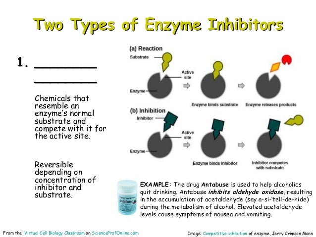 Enzymes cell-biology-lecture-power point-vcbc