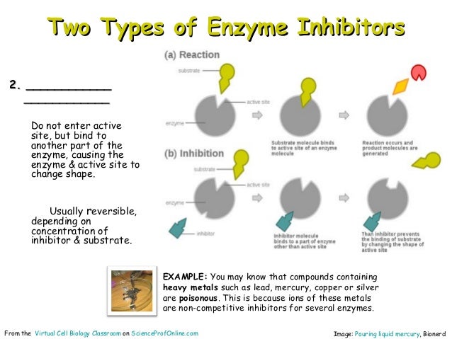 Enzymes cell-biology-lecture-power point-vcbc