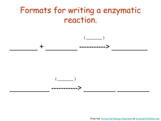 Enzymes-Cell-Biology-Lecture-PowerPoint-VCBC.ppt