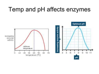 Enzymes-Cell-Biology-Lecture-PowerPoint-VCBC.ppt