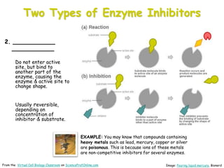 Enzymes-Cell-Biology-Lecture-PowerPoint-VCBC.ppt