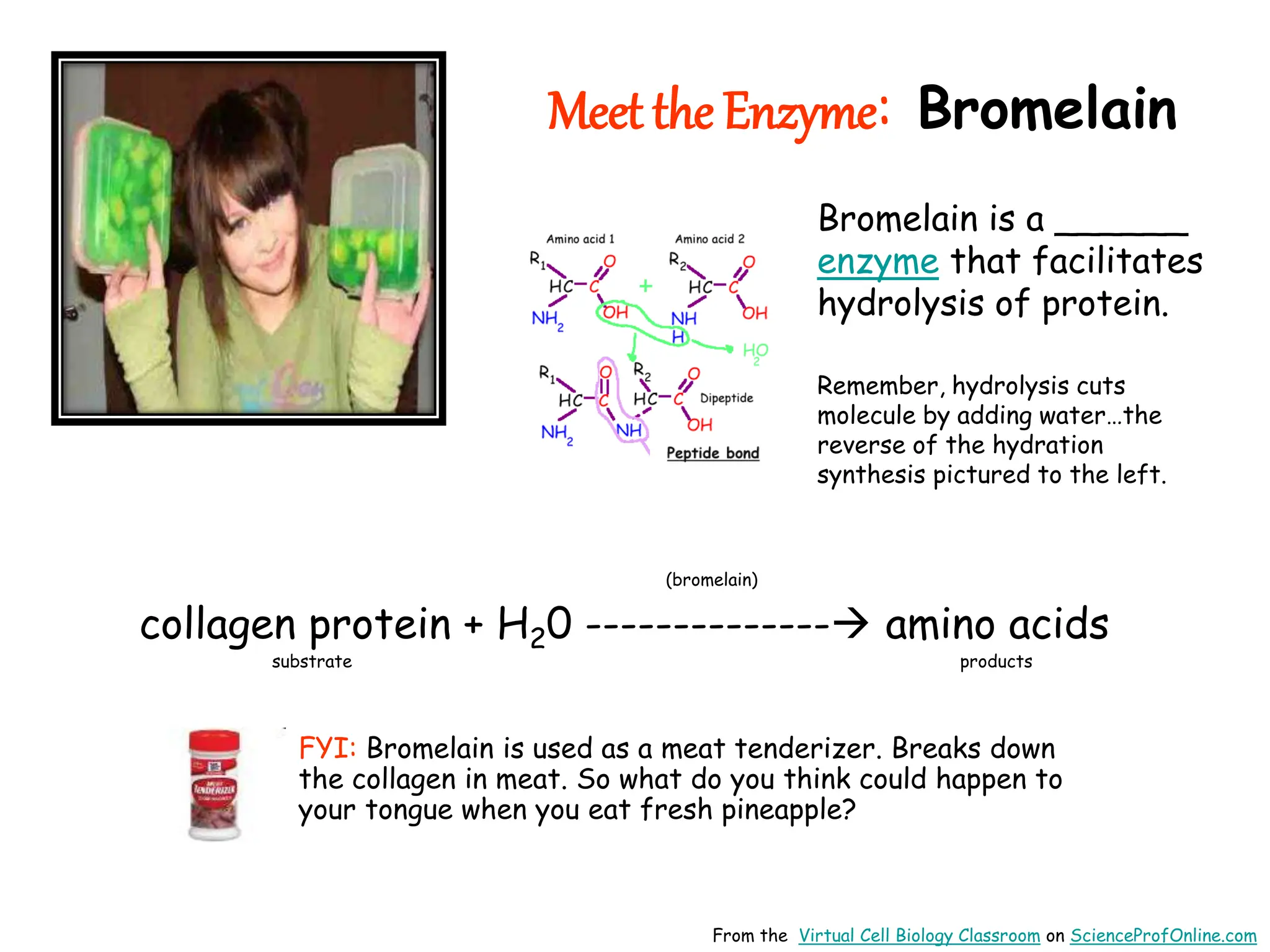 Enzymes-Cell-Biology-Lecture-PowerPoint-VCBC.ppt