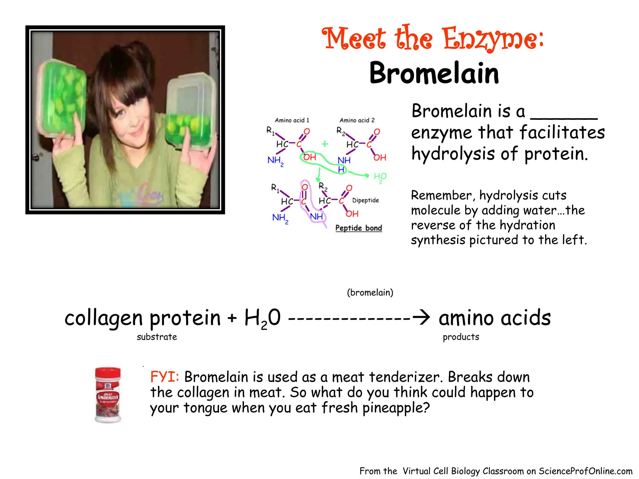 Enzymes-Cell-Biology-Lecture-PowerPoint-VCBC.ppt