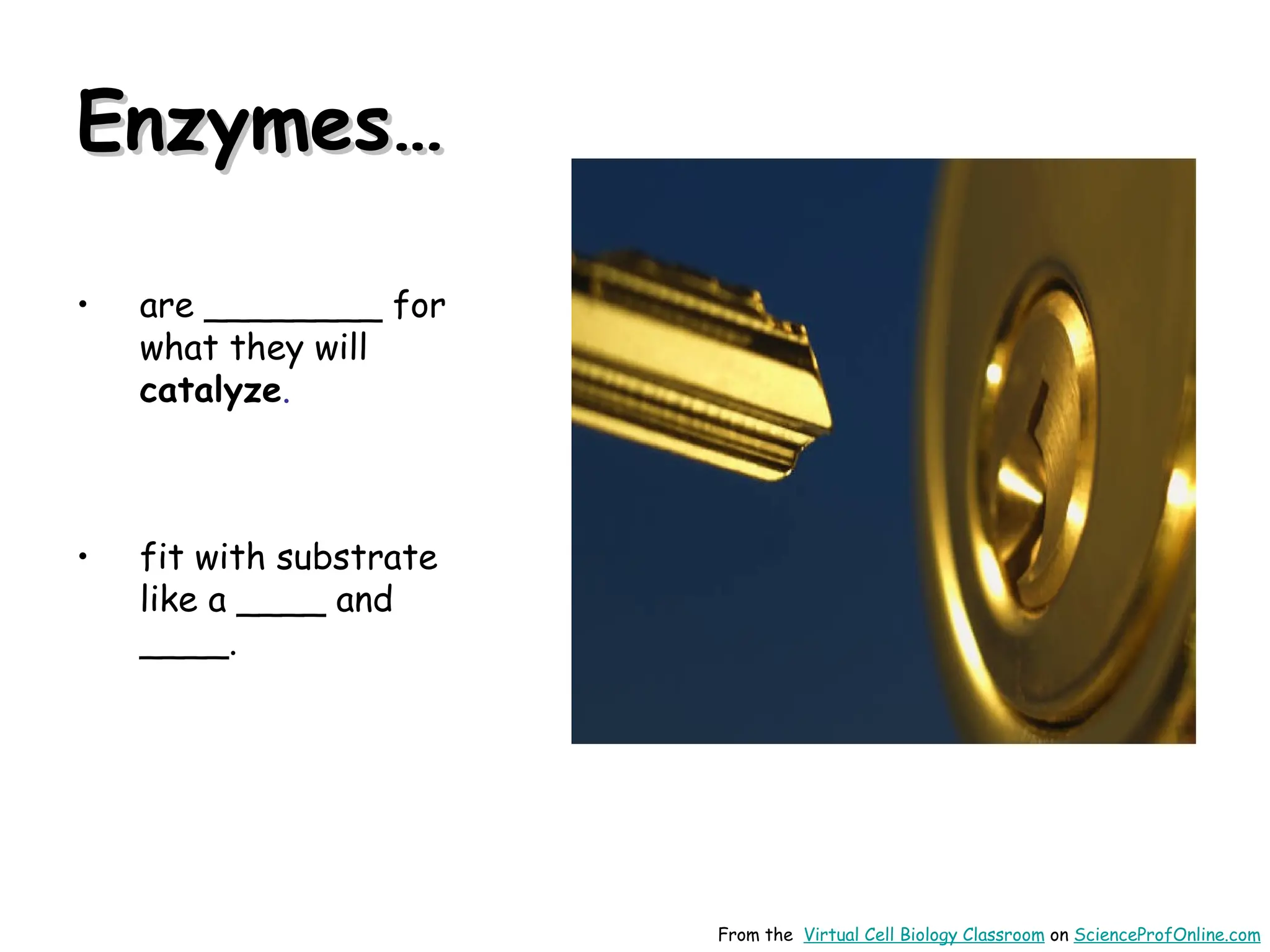 Enzymes-Cell-Biology-Lecture-PowerPoint-VCBC.ppt