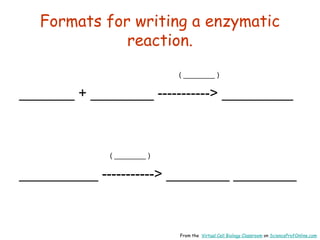 Enzymes-Cell-Biology-Lecture-PowerPoint-VCBC.ppt