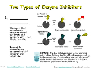 Enzymes-Cell-Biology-Lecture-PowerPoint-VCBC.ppt