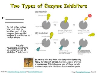 Enzymes-Cell-Biology-Lecture-PowerPoint-VCBC.ppt